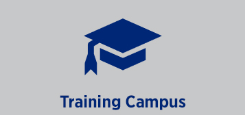 Start your apprenticeship or dual studies at Hays!